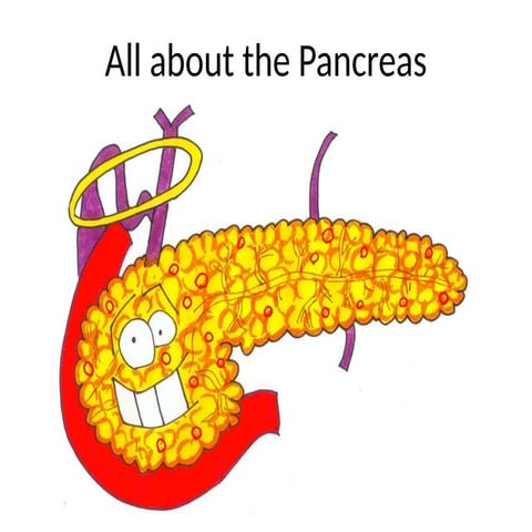 All-_____about_____-the___-Pancreas.pptx