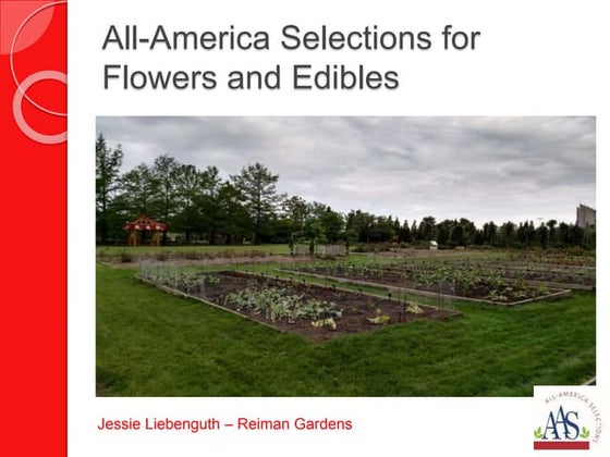 An Overview of All-America Selections | PPT