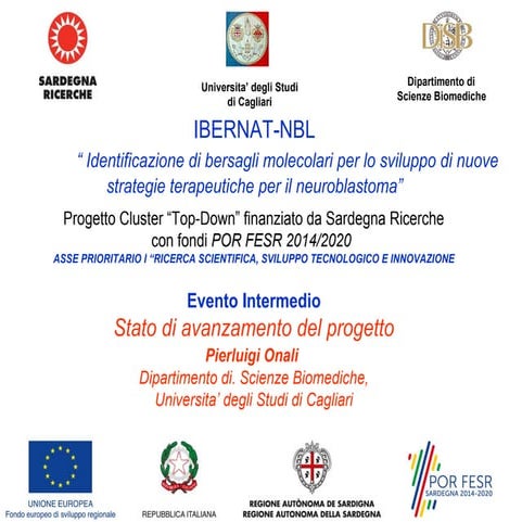 IBERNAT-NBL - Identificazione di bersagli molecolari per lo sviluppo di nuove strategie ...