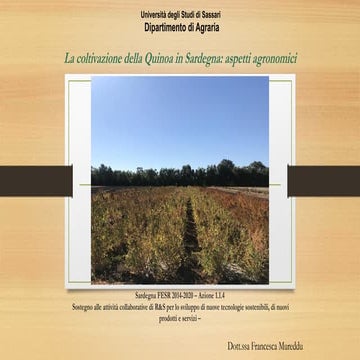 Innoquinoa - Report quarto semestre attività agronomica | PPT