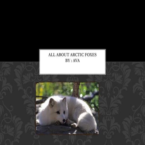 All about Arctic Foxes | PPT