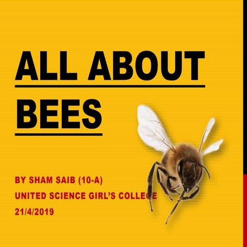 All about bees.pptx
