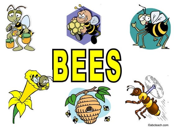 honey bees in India | PPT