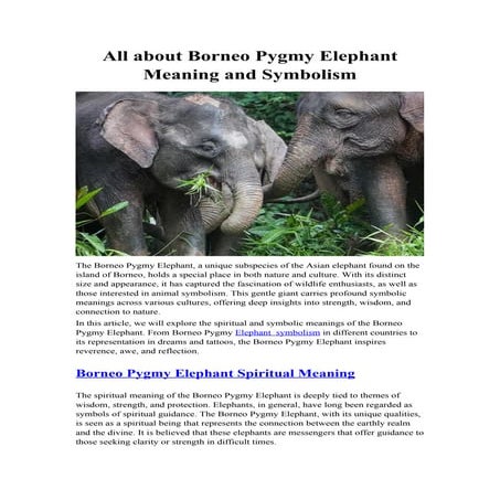 All about Borneo Pygmy Elephant Meaning and Symbolism.docx