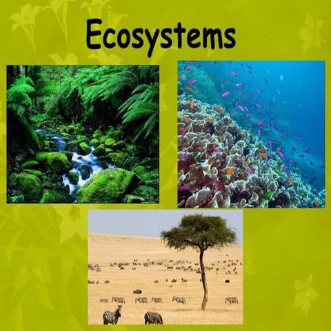 Ecosystems powerpoint | PPTX