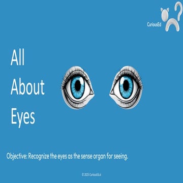 All About Eyes – Senses and Body Awareness for Early Years (Nursery to ...