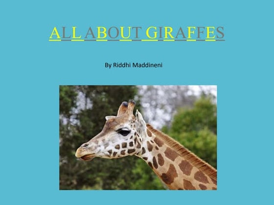 Giraffe | PPTX | Large Animals | Pets