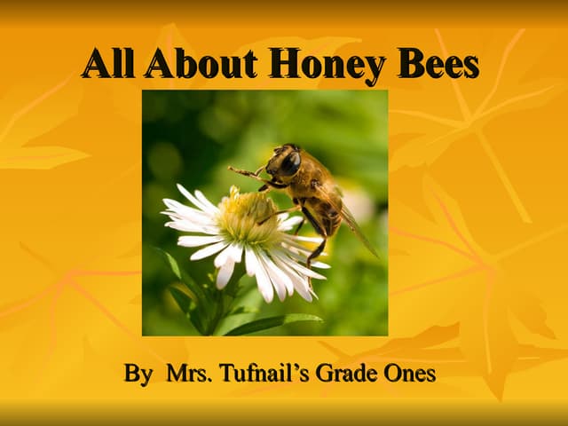 honey bees in India | PPT