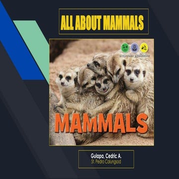 All about Mammals | PPTX