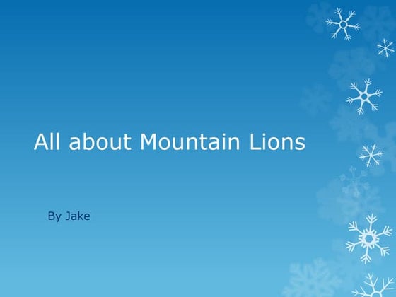 Lion | PPT