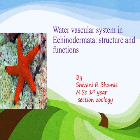 water vascular system by shivani bhomle | PPTX | Geology | Science
