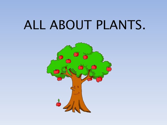 Second Grade Science: Plants | PPT