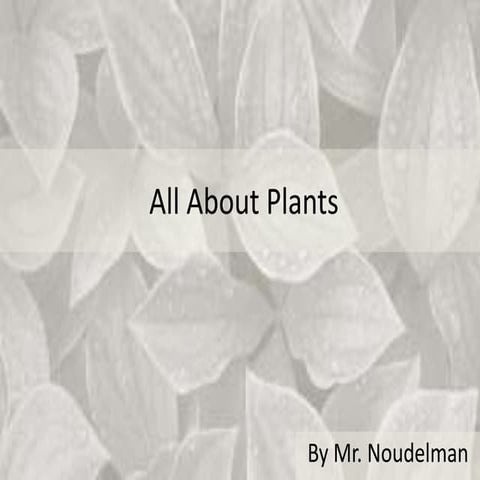 Second Grade Science: Plants | PPT