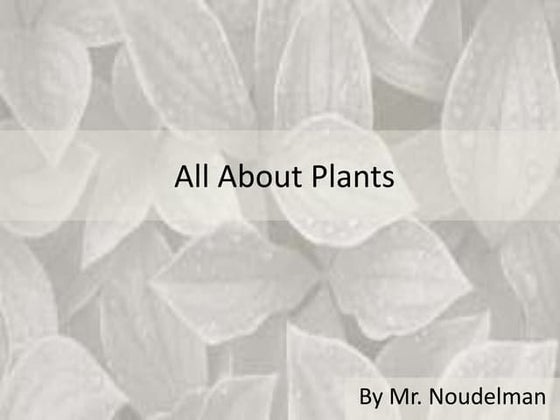 Second Grade Science: Plants | PPT