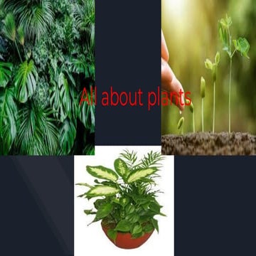 All about plants and what they are used for | PDF