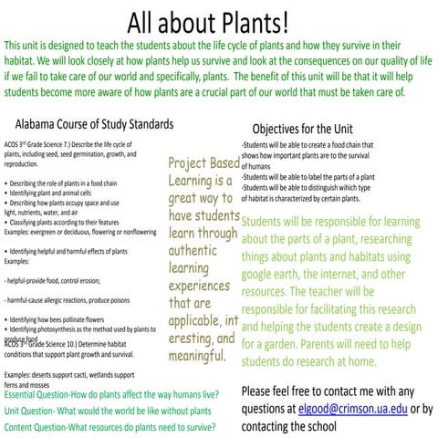 All about plants! newsletter | PPTX