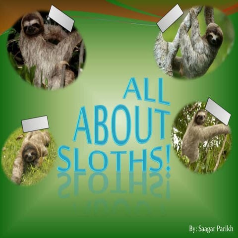All about sloths | PPTX