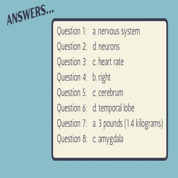 All about the brain - The Human Body quiz.pptx