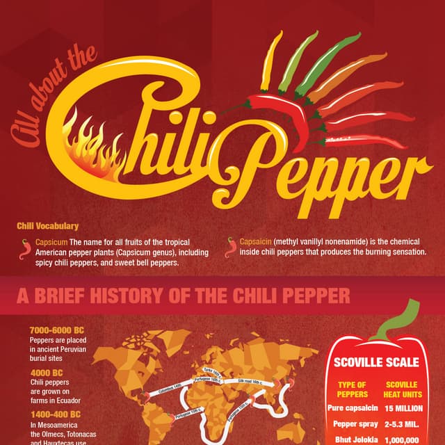 All about the chili pepper infographic | PDF