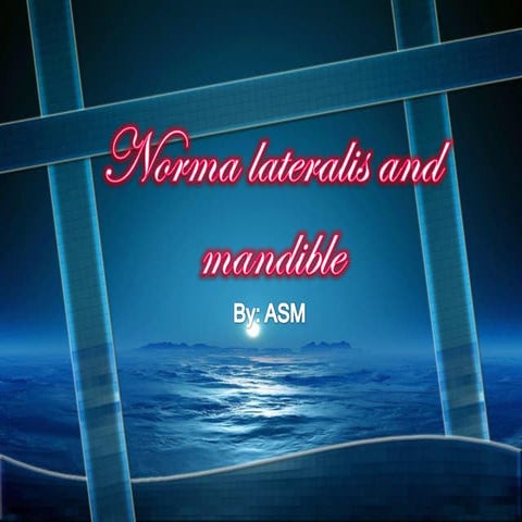 All anatomy practical | PDF