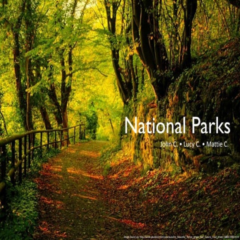 Ecology Project- National Parks | PPTX