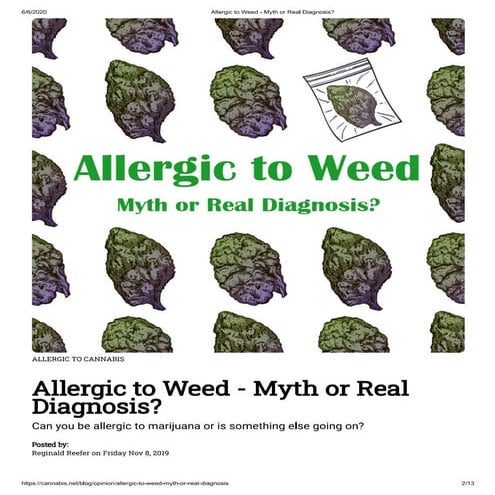 Can You Be Allergic to Weed? | PDF