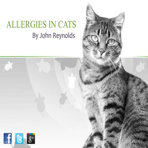 Cat Allergies – Symptoms, Diagnosis, Treatment & Prevention | PPTX