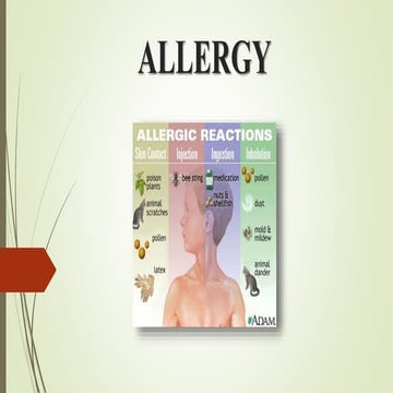 Allergy | PPTX