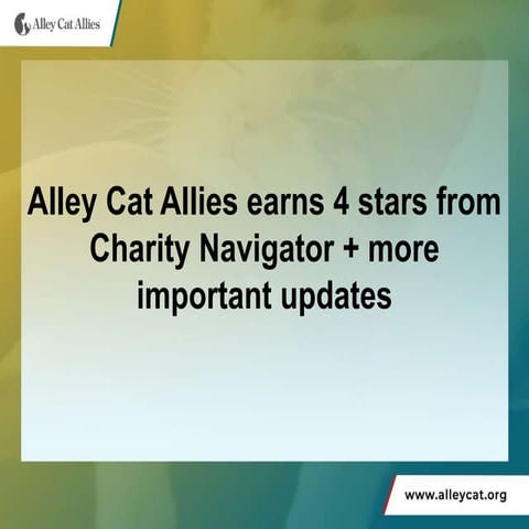 Microchips: a cat's ticket home - Alley Cat Allies | PPTX