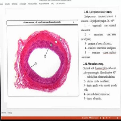 All histo specimen ( content 3 ) pdf.pdf