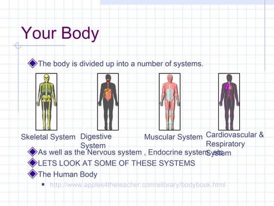 Body systems | PPT