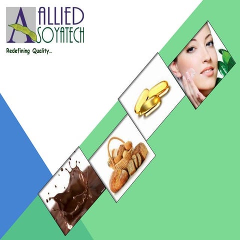 HANEIL SOYATECH | PPTX