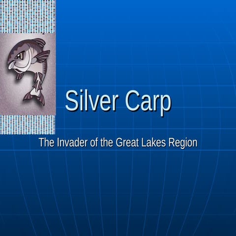 Silver Carp | PPT