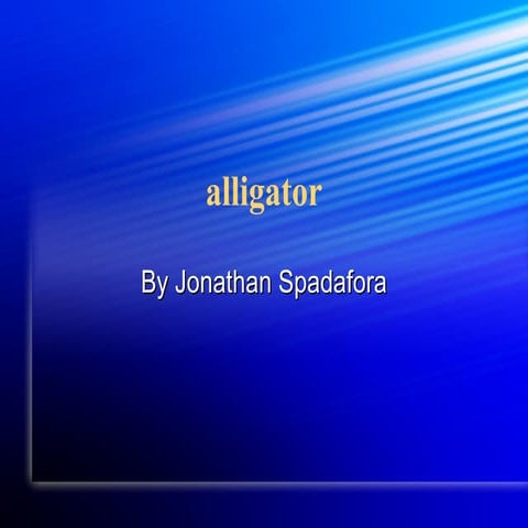 Alligator | PPT