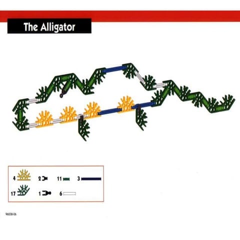 Alligator | PPT