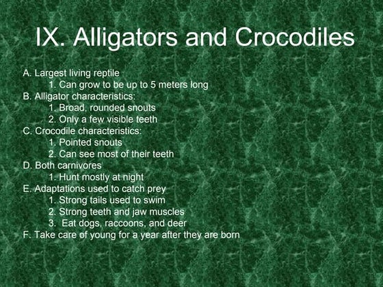 The Crocodile | PPT