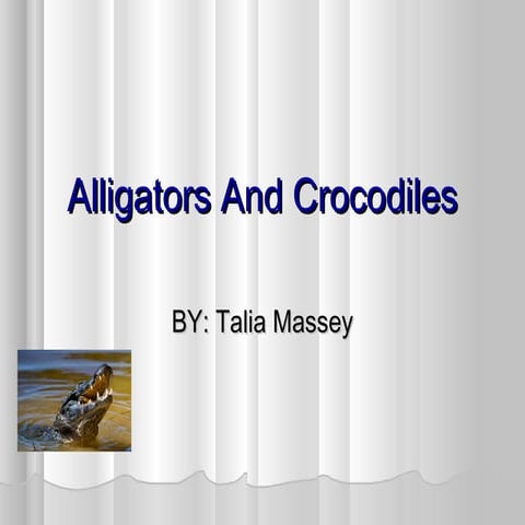 Alligators and crocodiles talia | PPT
