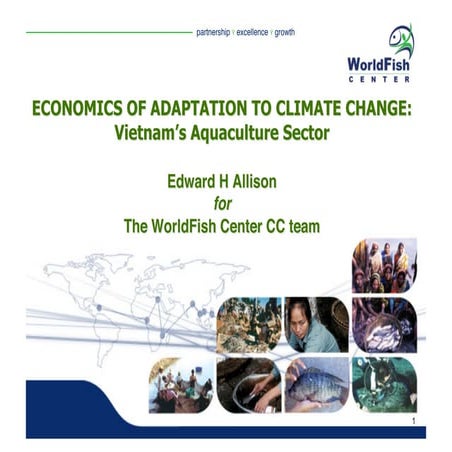 Allison - Economics of adaptation to CC: Vietnam's aquaculture sector | PDF