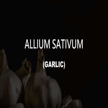 ALLIUM SATIVUM.pptx