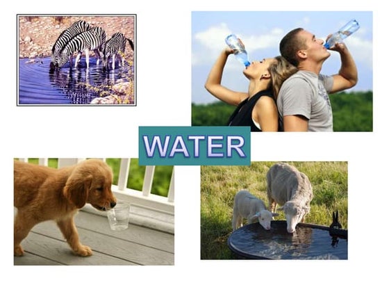 Water and air power point | PPT