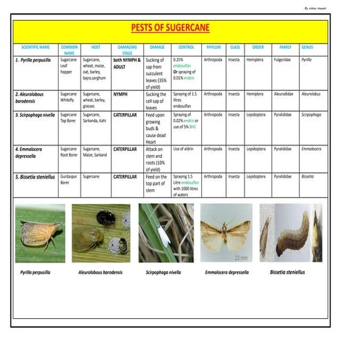 ALL PESTS of Crops। BSc Zoology । V. Mewati | PDF