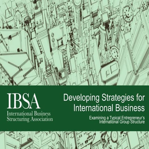IBSA Workshop: Developing Strategies for International Business | PPTX