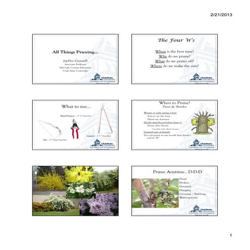 All Things Pruning | PDF