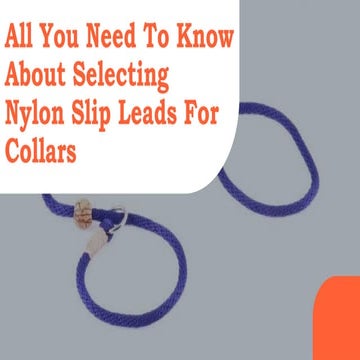 All You Need To Know About Selecting Nylon Slip Leads For Collars | PPTX