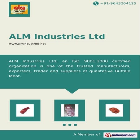 Alm industries-ltd | PDF