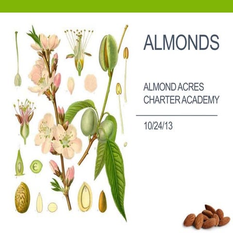 Almond Presentation.pptx