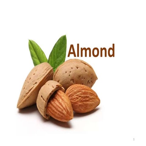 almond-210402162605.pdf