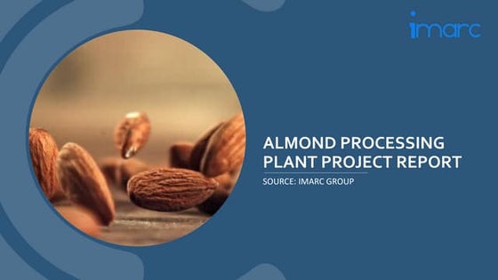 Rice Processing Plant Project Report.pdf