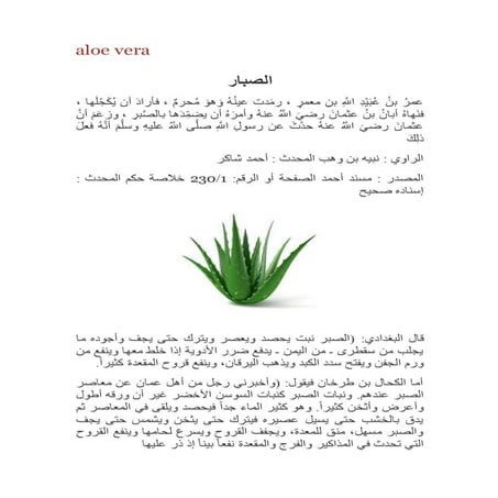 Aloe vera الصبار | DOCX