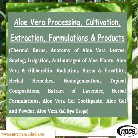Aloe Vera Processing, Cultivation, Extraction, Formulations & Products ...